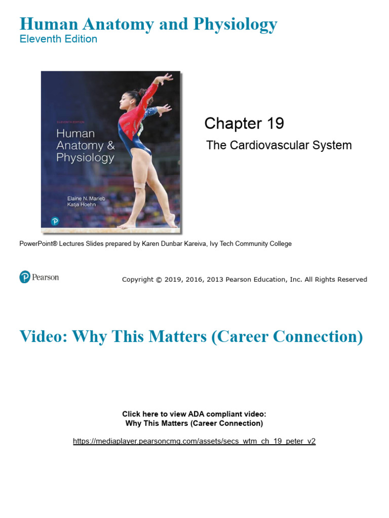 CH 19 Cardiovascular System | PDF | Artery | Vein