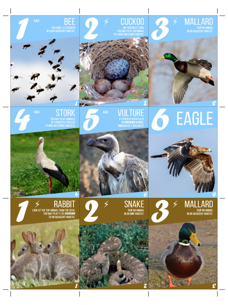 Animals PNP Revb | PDF