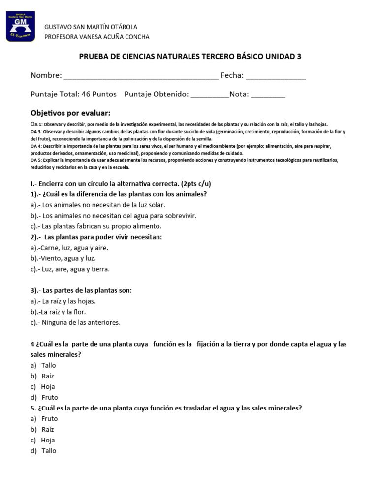 Prueba Ciencias Naturales 3° Basico Unidad 3 Plantas | PDF | Plantas | Flores