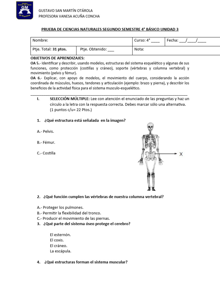 Prueba Ciencias Naturales 4° | Descargar gratis PDF | Esqueleto | Hueso