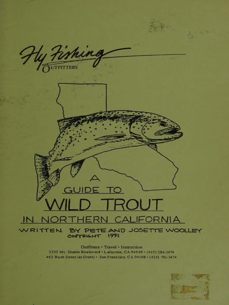 A Guide to Wild Trout in Northern California | PDF | Artificial Fly ...