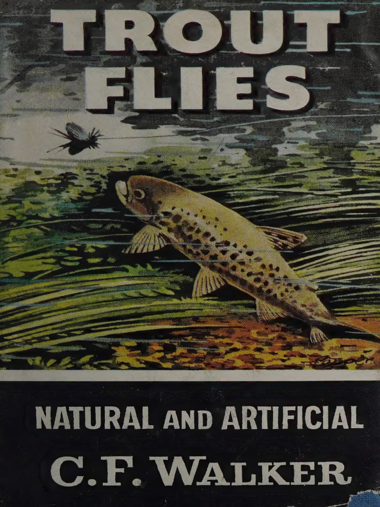 Essential Trout Flies Guide | PDF | Artificial Fly | Fly Fishing