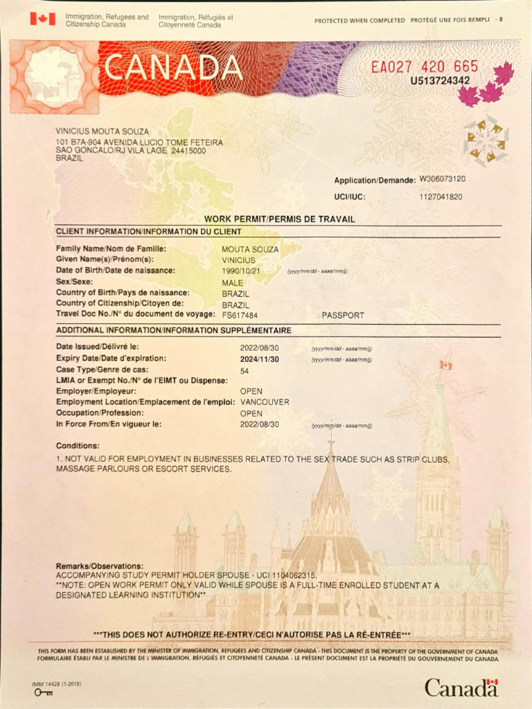 Work Permit | PDF | Government And Personhood | Cultural Globalization