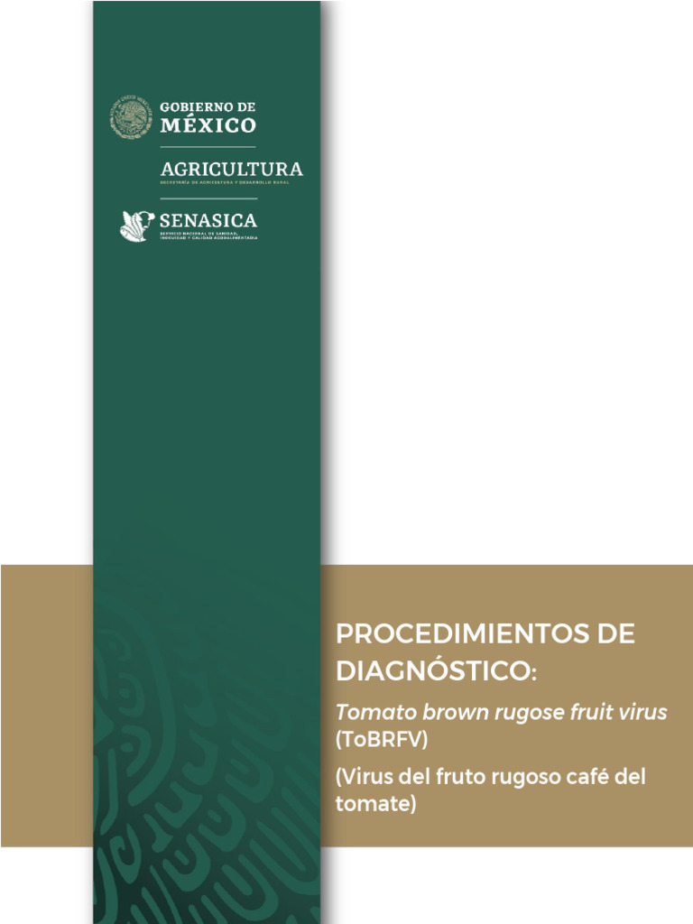 Procedimientos de Diagn Stico ToBRFV 2022 | PDF | Reacción en cadena de la polimerasa | Reacción ...