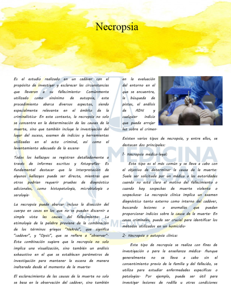 Necropsia | PDF | Autopsia | Ciencias de la Salud