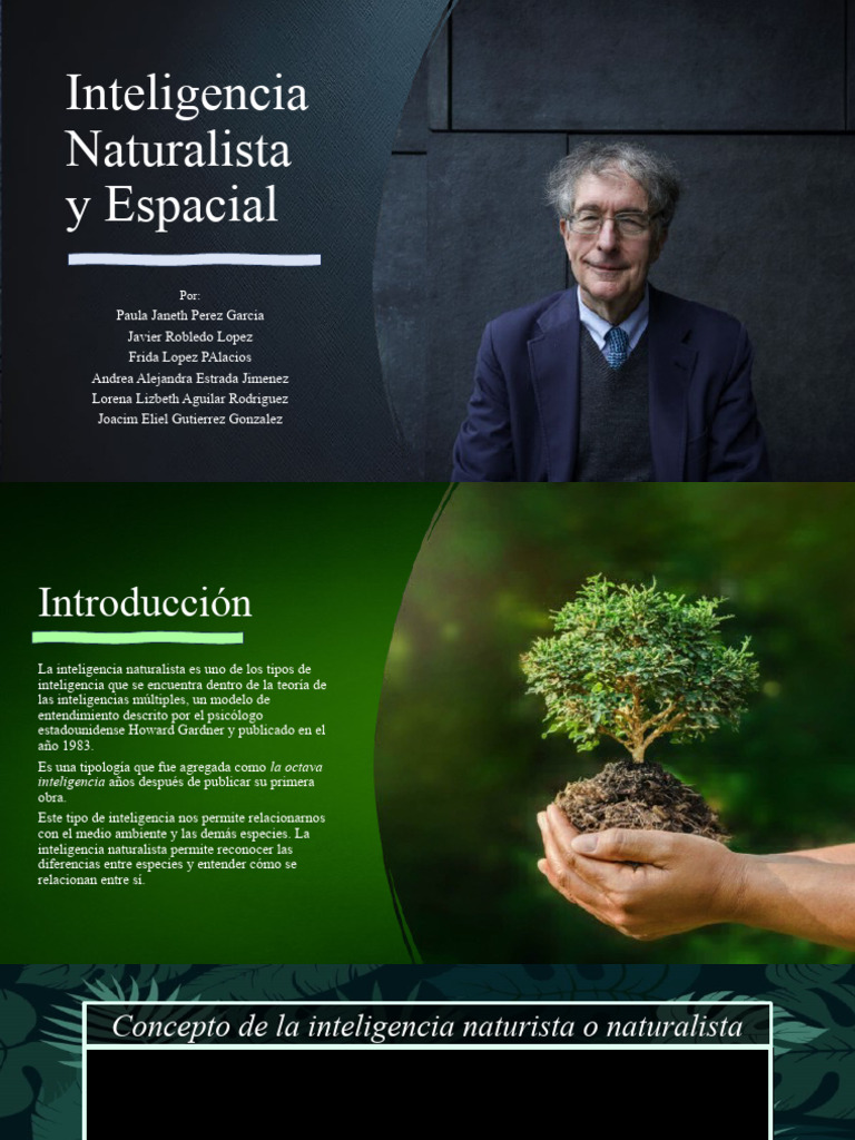 Inteligencia Naturalista y Espacial | PDF | Inteligencia | Cognición