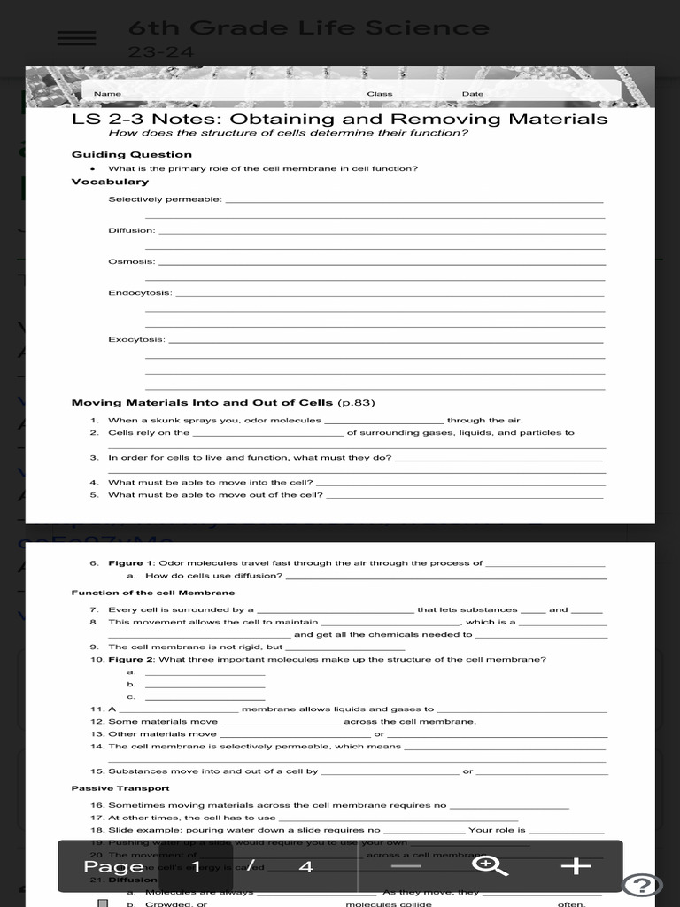 LS 2-3 Obtaining and Removing Materials (Week 8) | PDF | Cell Membrane ...