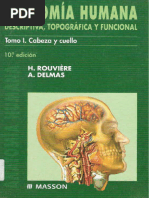 Netter - Anatomía de Cabeza y Cuello para Odontólogos, 3rd Edition Full ...