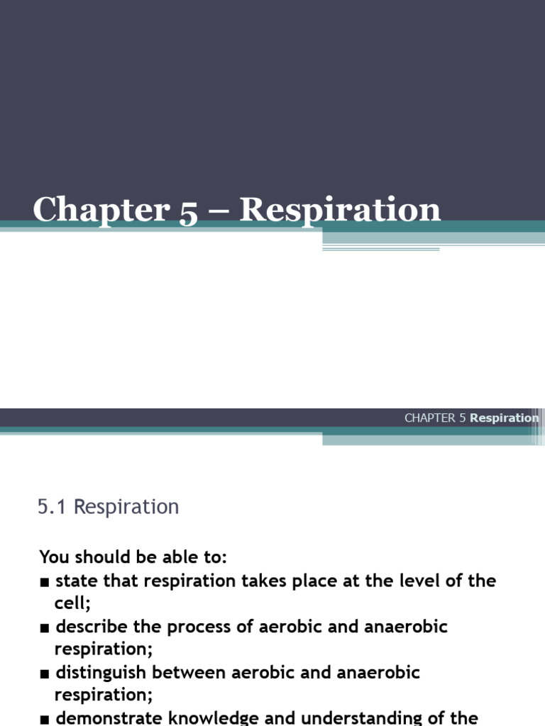 Chapter 05 - Respiration | PDF | Cellular Respiration | Adenosine ...