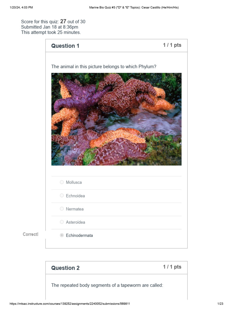 Marine Bio Quiz #3 ( - D - & - E - Topics) | PDF | Animal Taxa | Zoology