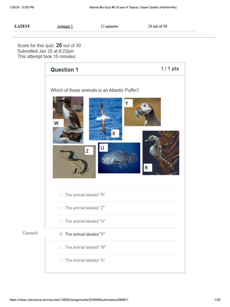 Marine Biology Quiz on G and H Topics | PDF | Aquatic Animals | Vertebrates