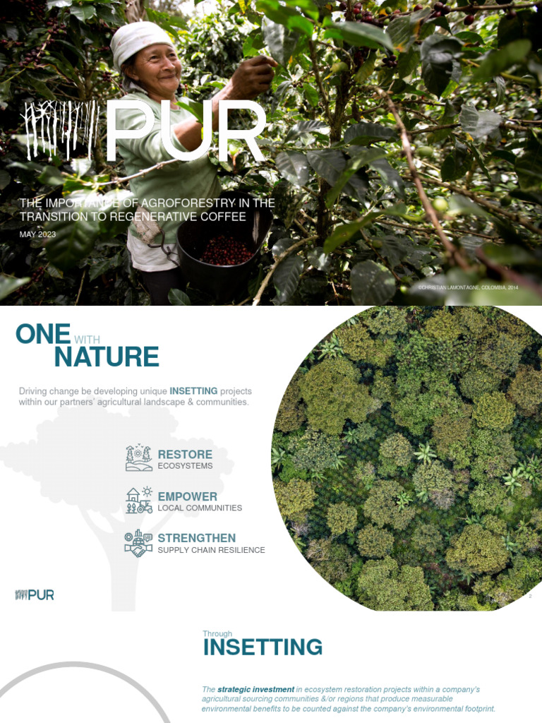 Regenerative Coffee Agroforestry Guide | PDF | Biodiversity | Agriculture