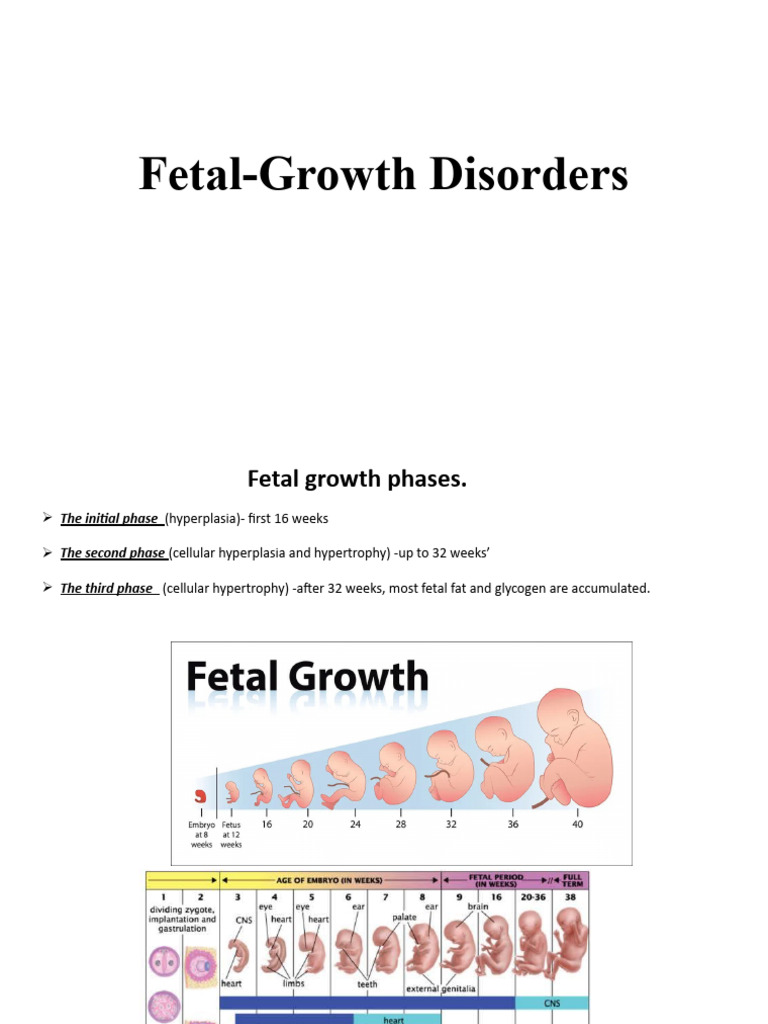Understanding Fetal Growth Disorders | PDF | Prenatal Development | Fetus