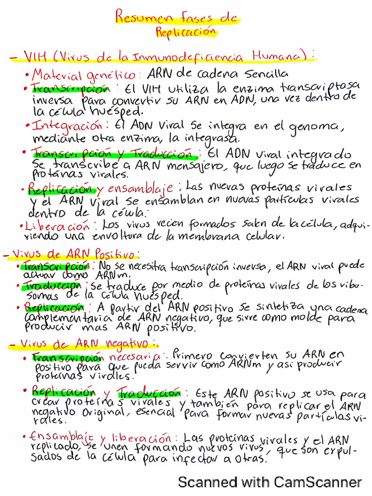Resumen fases de replicacion | PDF