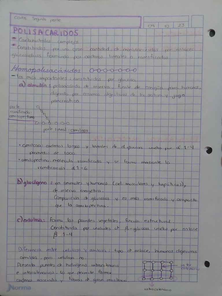 Bioca 2parcial | PDF | Métodos y materiales de enseñanza