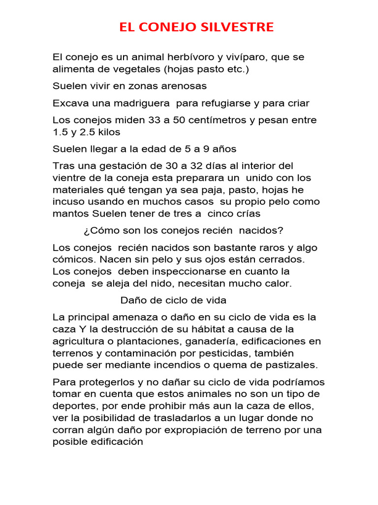 El Conejo Es Un Animal Herbívoro y Vivíparo | PDF