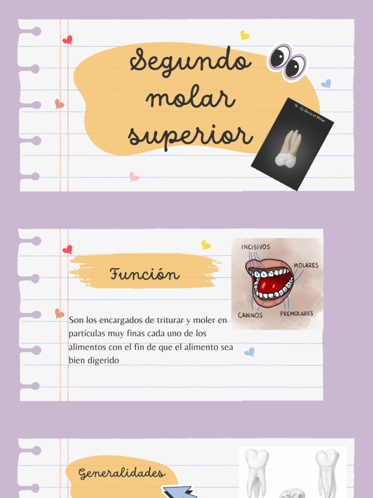 2do Molar Superior | PDF | Estudios de idiomas extranjeros
