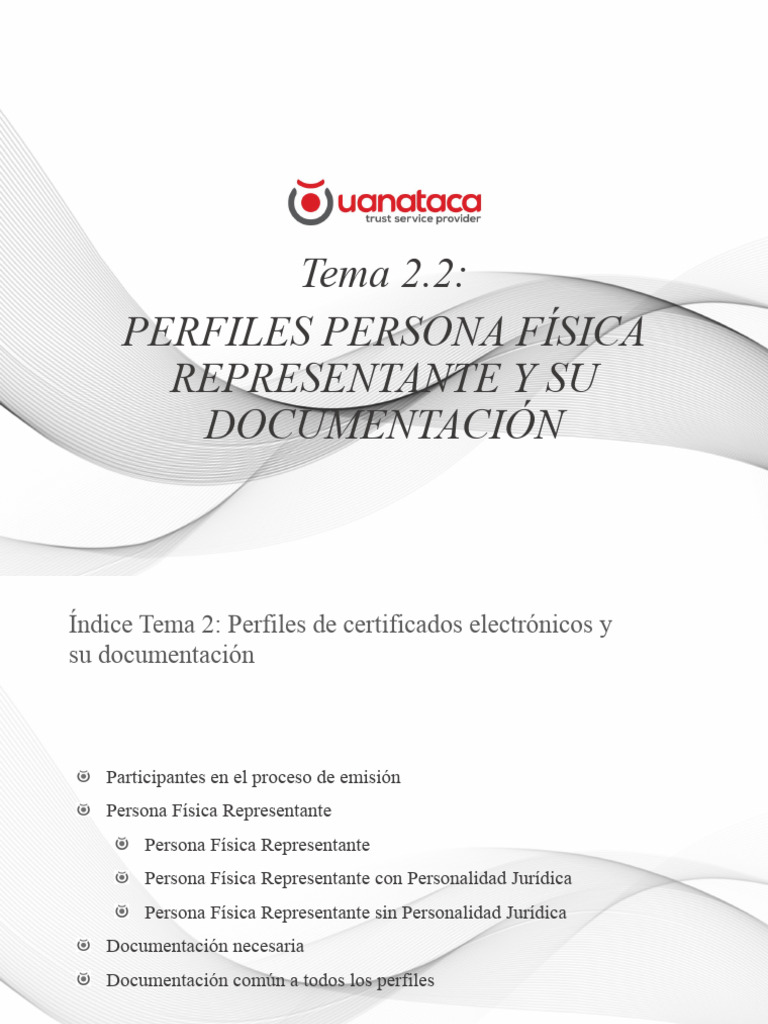 Tema 2.2 Perfiles Persona Física Representante y Documentación | PDF | Documento de identidad ...