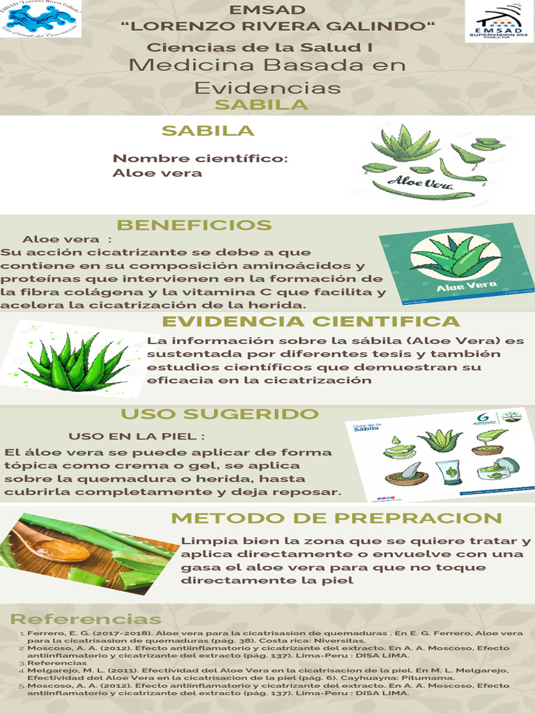Infografía Plantas Medicinales Áloe Vera | PDF
