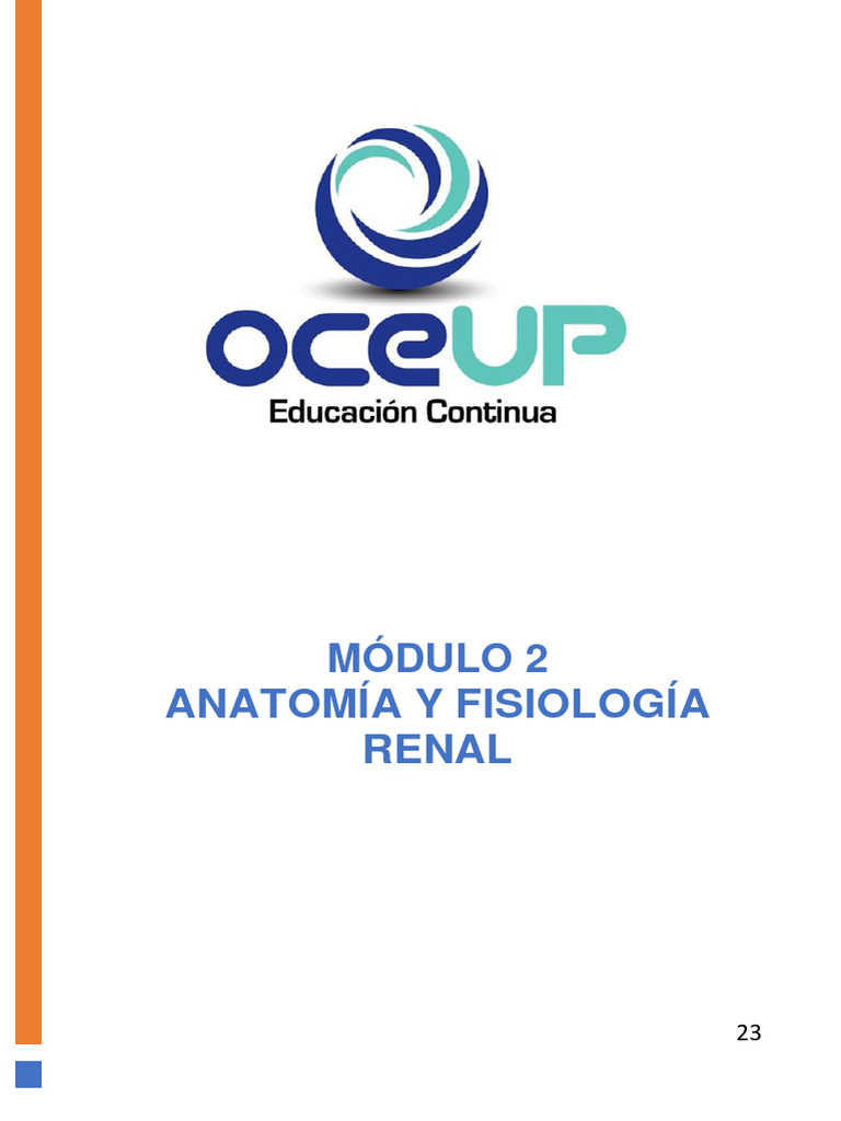 Ud2 Anatom A y Fisiolog A Renal | PDF | Riñón | Solución tampón