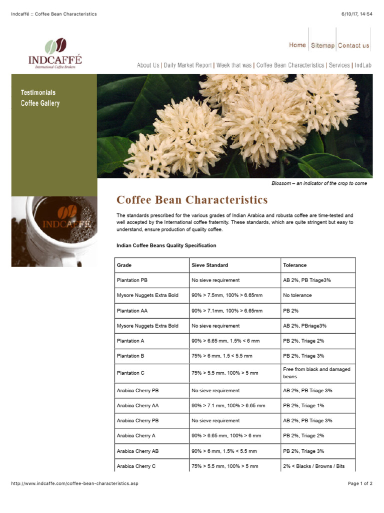 Indcaffé _ Coffee Bean Characteristics | PDF | Coffee | Crops