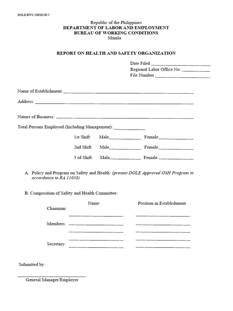 Report On Health and Safety Organization Form (DOLE - BWC - OHSD - IP-5 ...