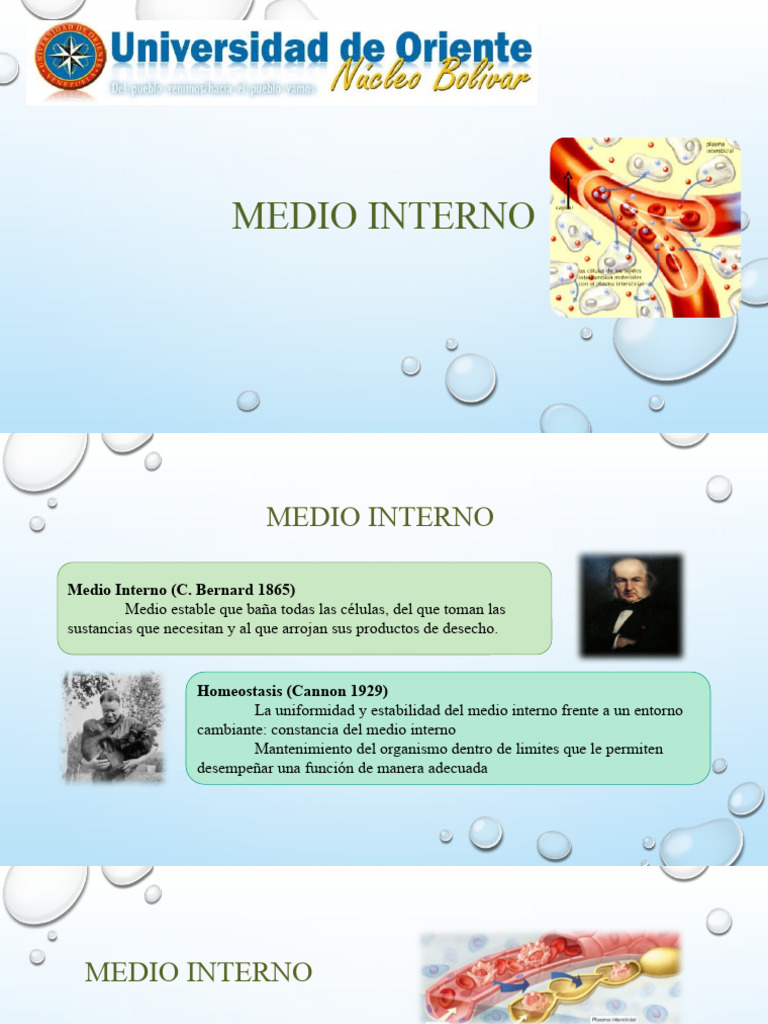 Medio Interno | PDF | Homeostasis | Ósmosis