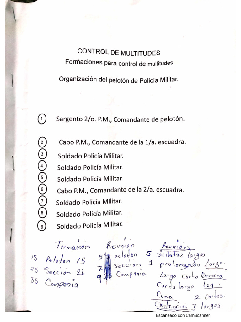 Control de Multitudes | PDF