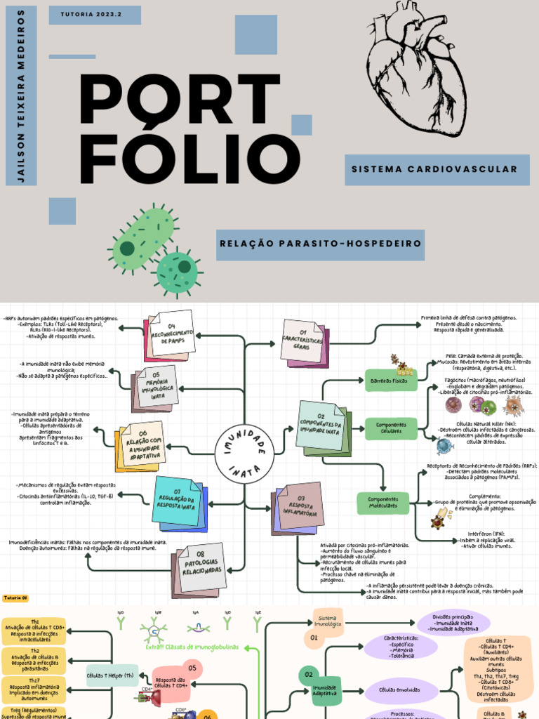 Portfólio - Sistema Cardiovascular - Jailson Teixeira Medeiros | PDF ...