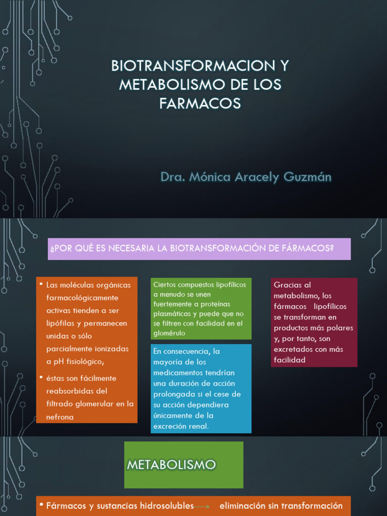Biotransformacion y Metabolismo de Los Farmacos | Descargar gratis PDF | Biotransformación ...