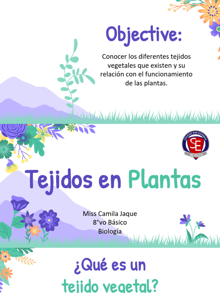 Tejidos vegetales | PDF | Plantas | Tejido (biología)