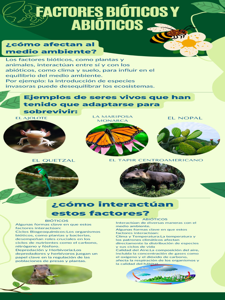Infografía Sobre Los Factores Bióticos y Abióticos - 20240227 - 232250 - 0000 | PDF