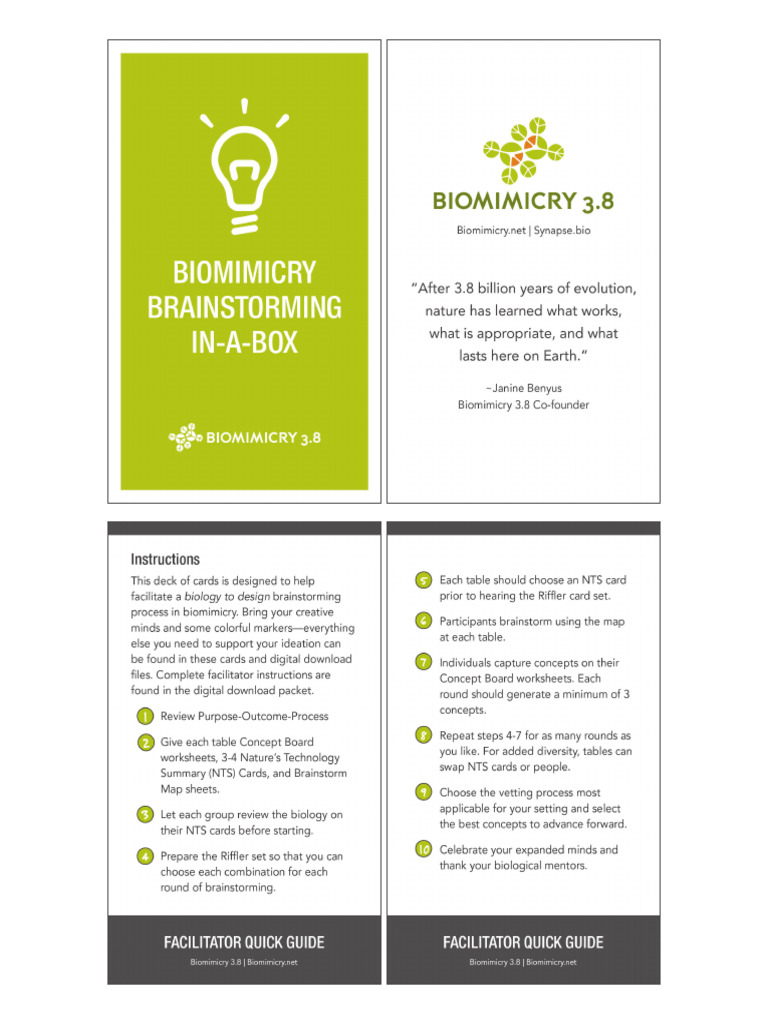 Brainstorming in A Box 4-Up Biomimicry38 | PDF