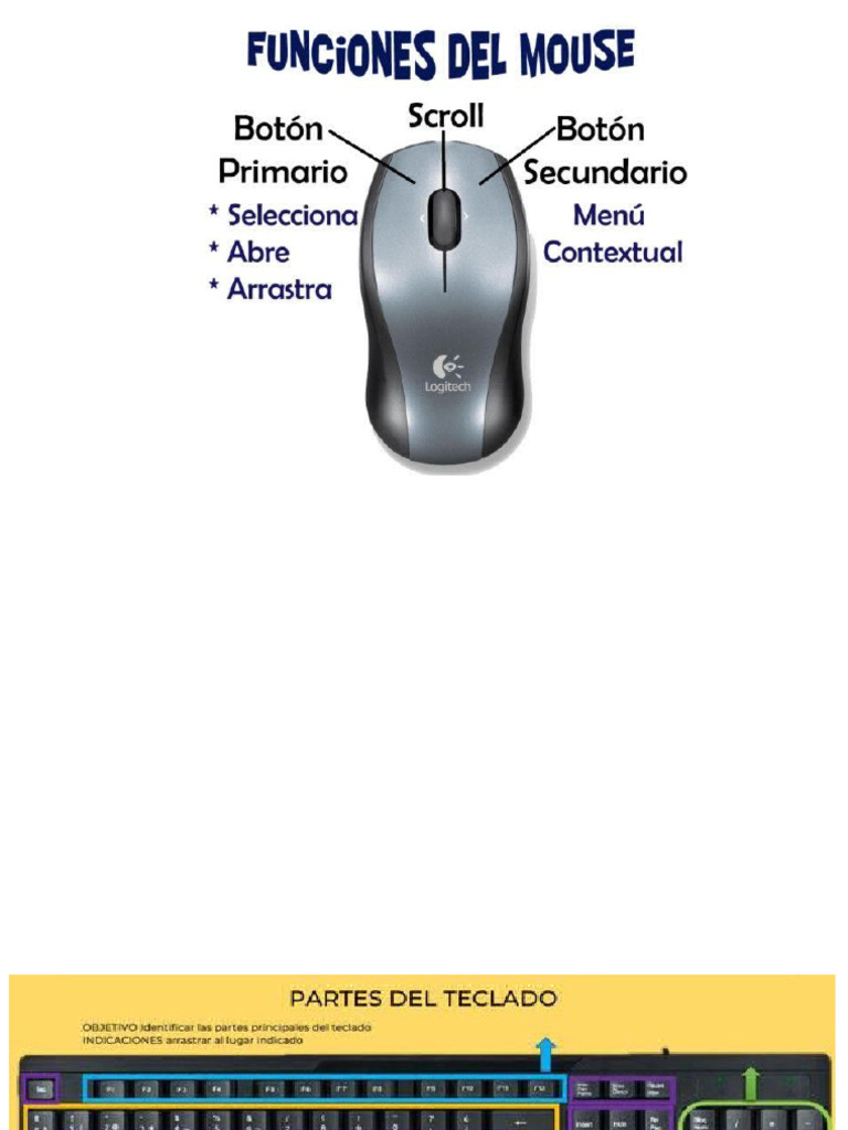 Partes Del Mouse | PDF | Cliente | Informática