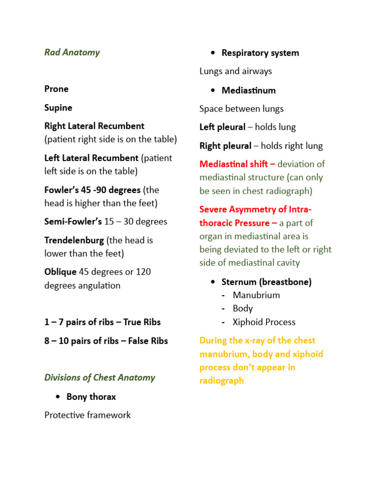 Rad Anatomy | PDF | Lung | Thorax