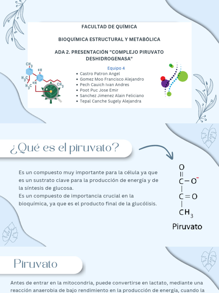 ADA 2. Equipo 4. Piruvato Deshidrogenasa | PDF | Nicotinamida adenina dinucleótida | Enzima