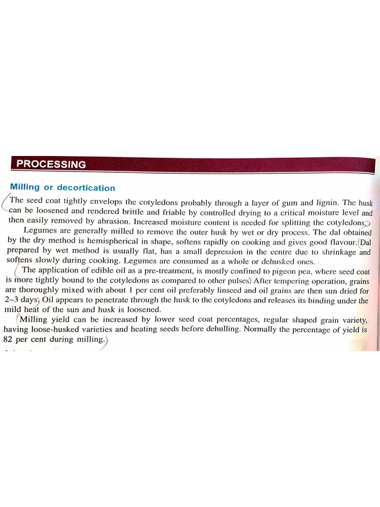 2 Year Food Eng Pules | PDF