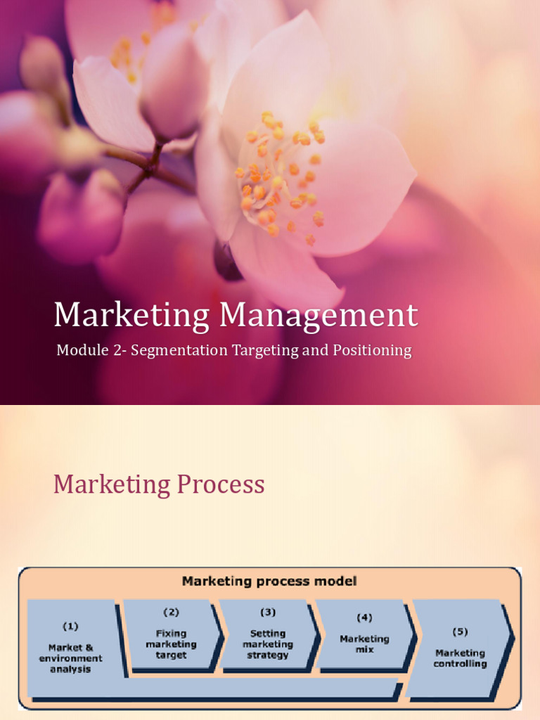 Product Introduction | PDF | Market Segmentation | Marketing