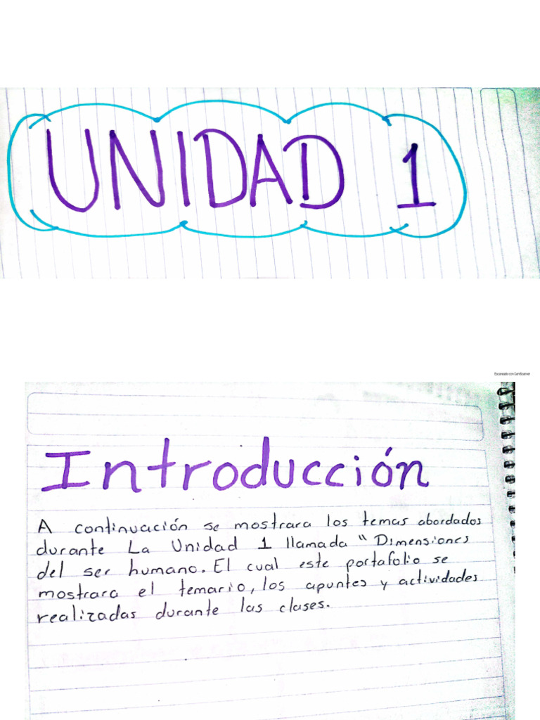 Emprendedor Unidad 1 | PDF