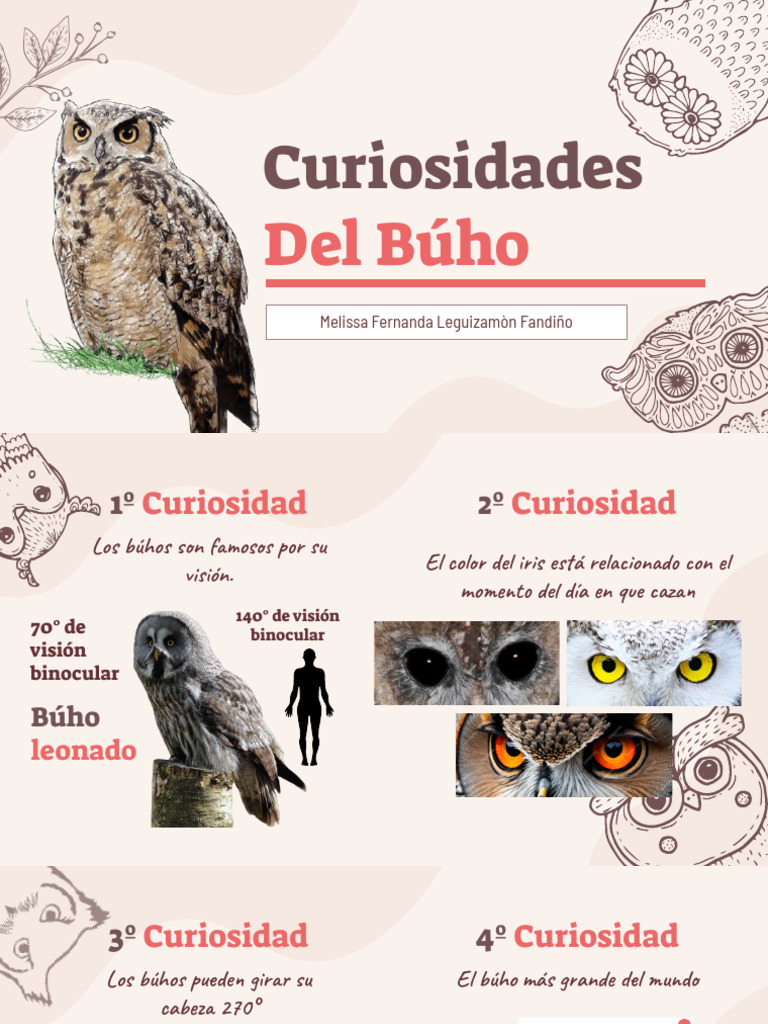 El Buho | PDF