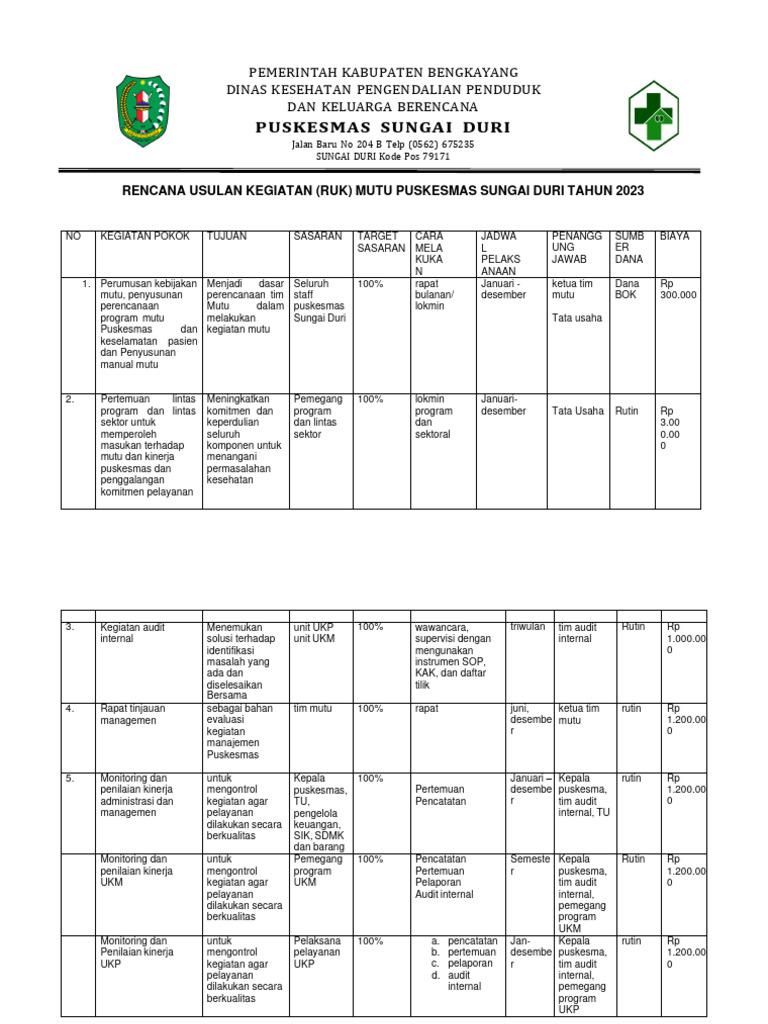 5.1.1.a (REV) PROGRAM PENINGKATAN MUTU RUK | PDF