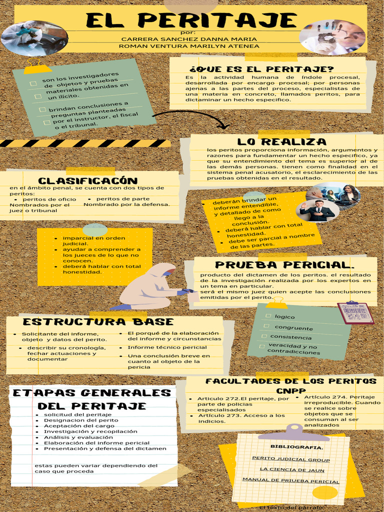 Los Peritajes | PDF | Testigo experto | Experto