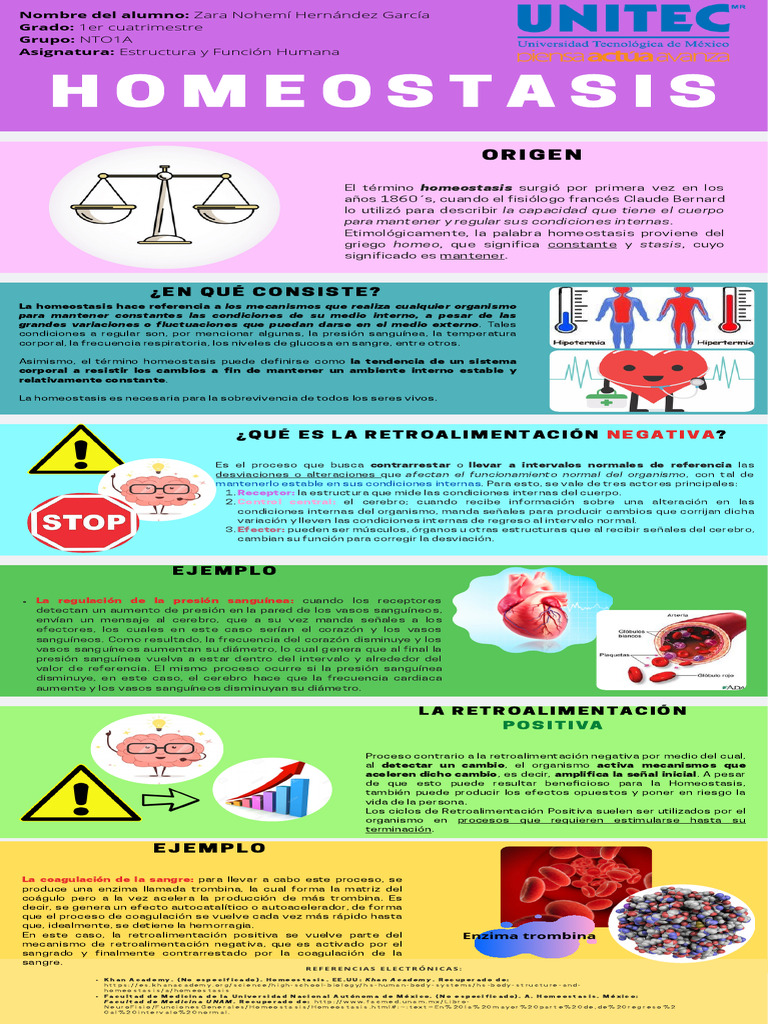 Importancia y Ejemplos de Homeostasis | PDF | Homeostasis | Realimentación