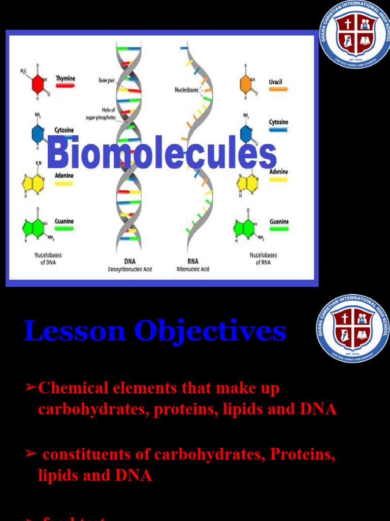 BIOLOGICAL MOLECULES | PDF | Carbohydrates | Glucose