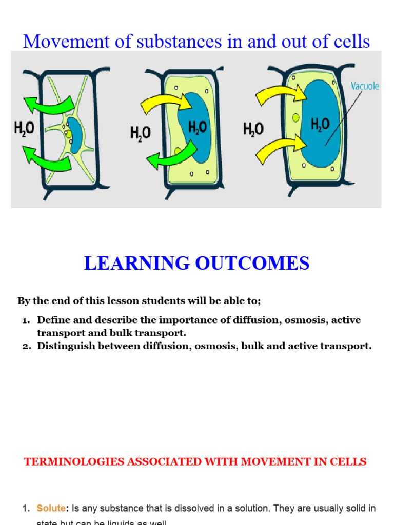 Movement in and Out of Cells | PDF | Osmosis | Cell Membrane