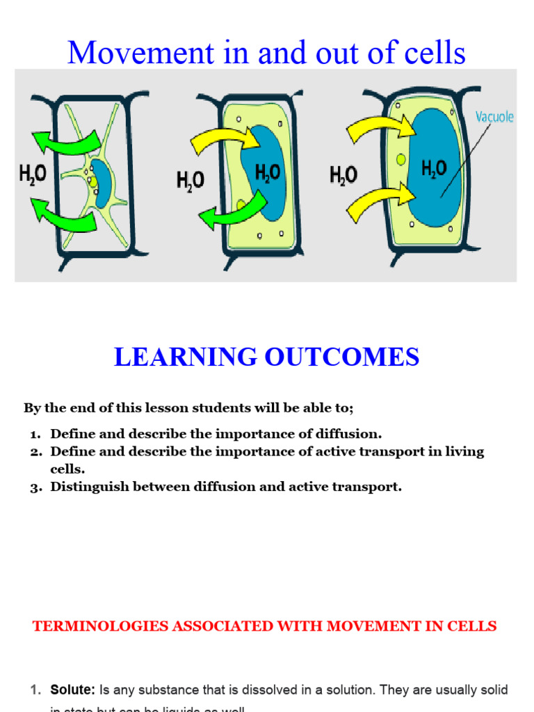 Cell Movement: Diffusion & Active Transport | PDF | Osmosis | Diffusion