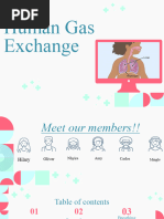 Structure and Function of The Gas Exchange System - Respiration and Gas ...