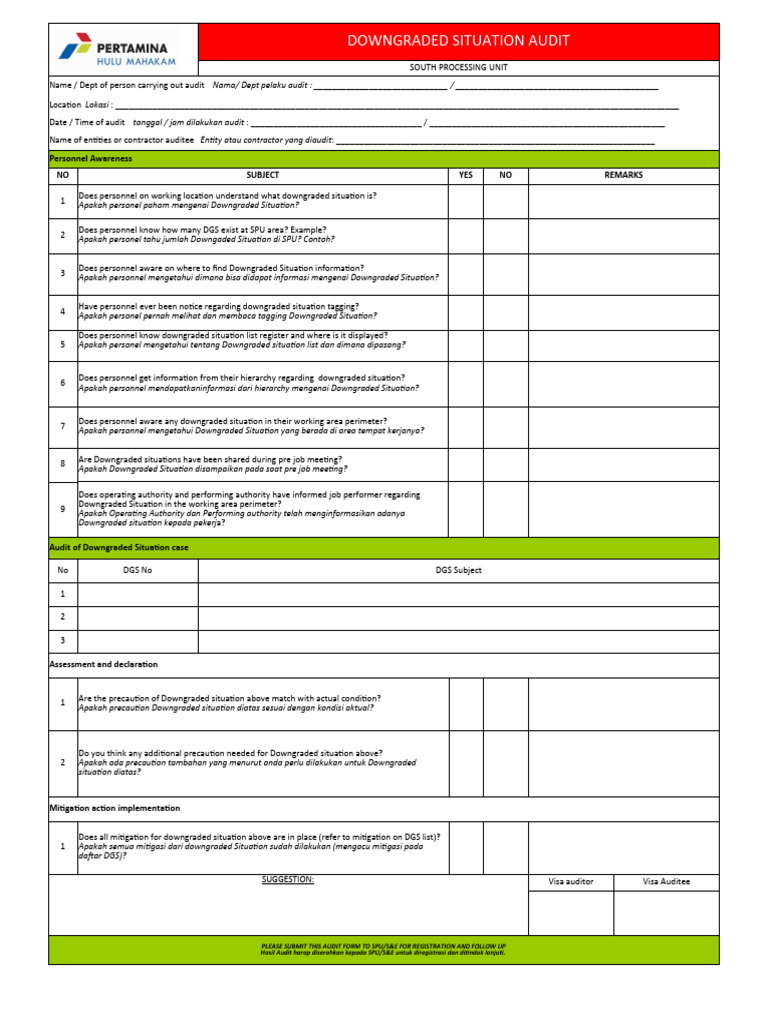 2. Dgs Audit Form | PDF | Risk Assessment | Risk