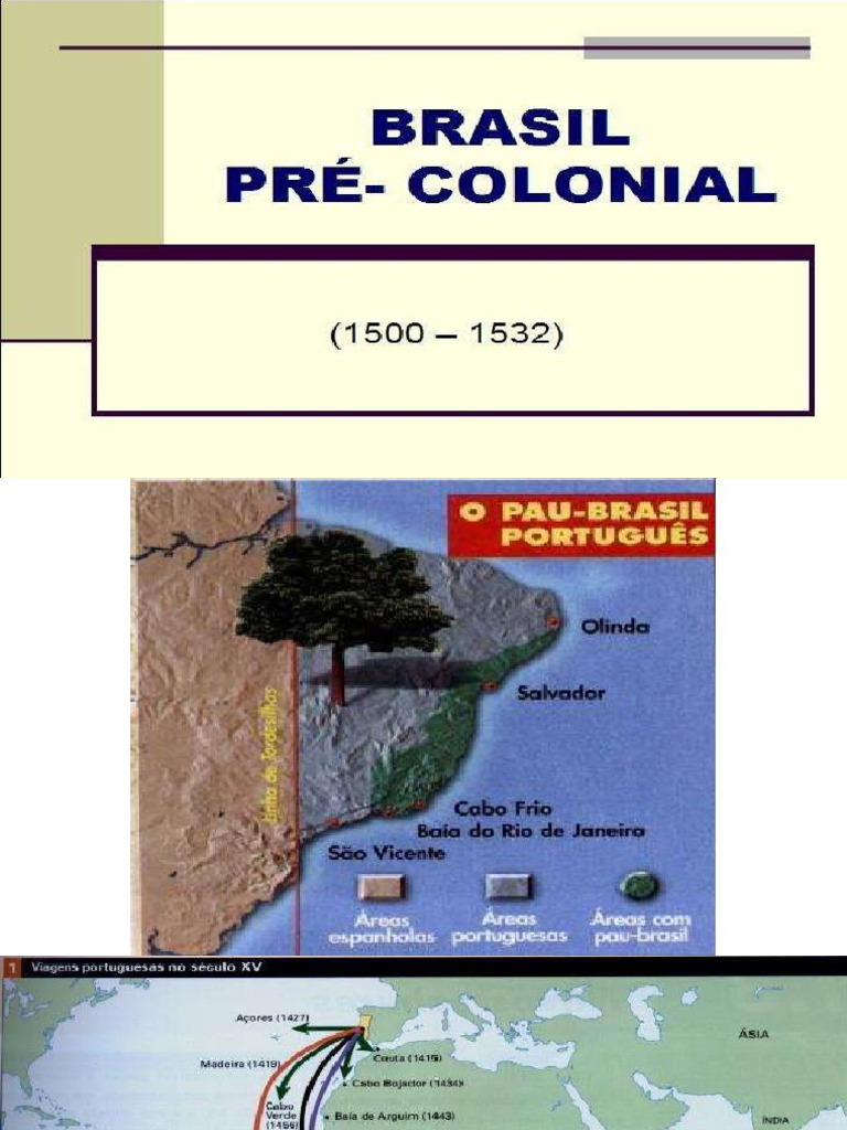 Brasil Pre Colonial | PDF