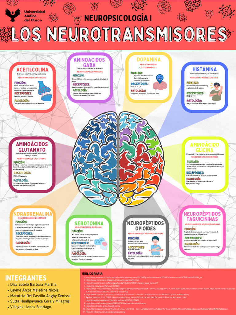 Los Neurotransmisores Grupo 9 | PDF | Receptor Nmda | Sinapsis